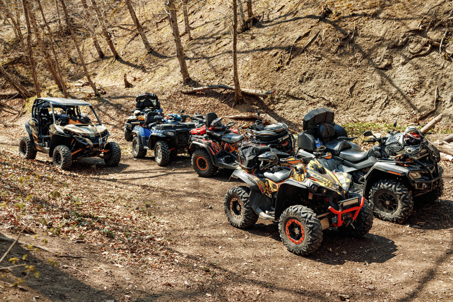 Tous Les Types De Quad : Choisir Le Bon Vehicule